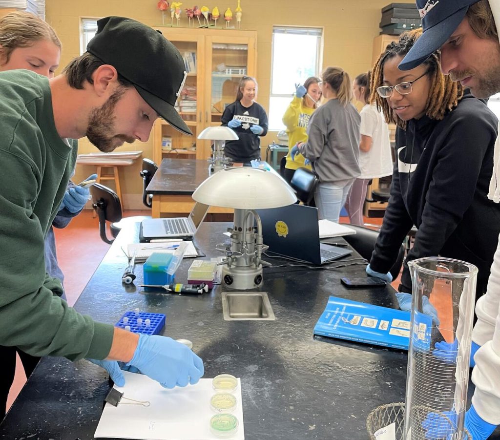 Limestone University Biology class completes CRISPR gene editing experiment